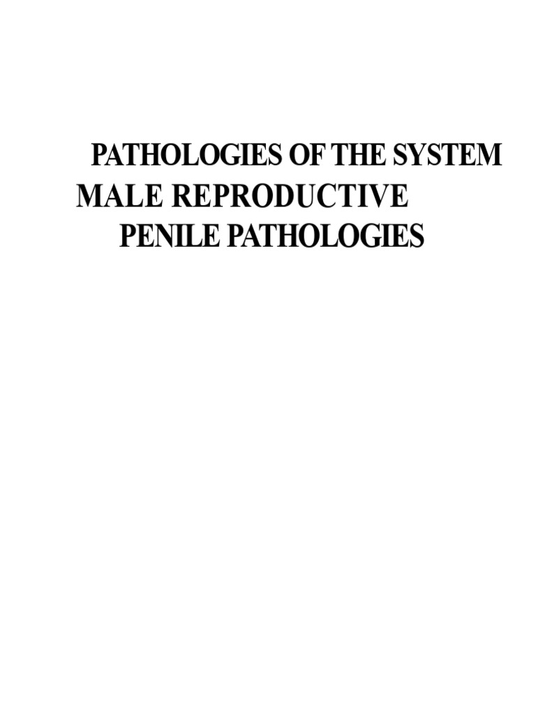 Pathologies of The Male Reproductive System | PDF | Prostate | Testicle