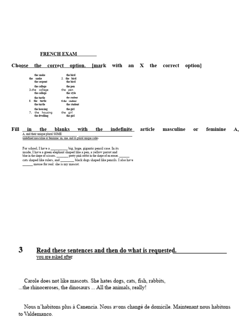 French Exam 1st Year of Secondary Education 2nd Evaluation. | PDF ...