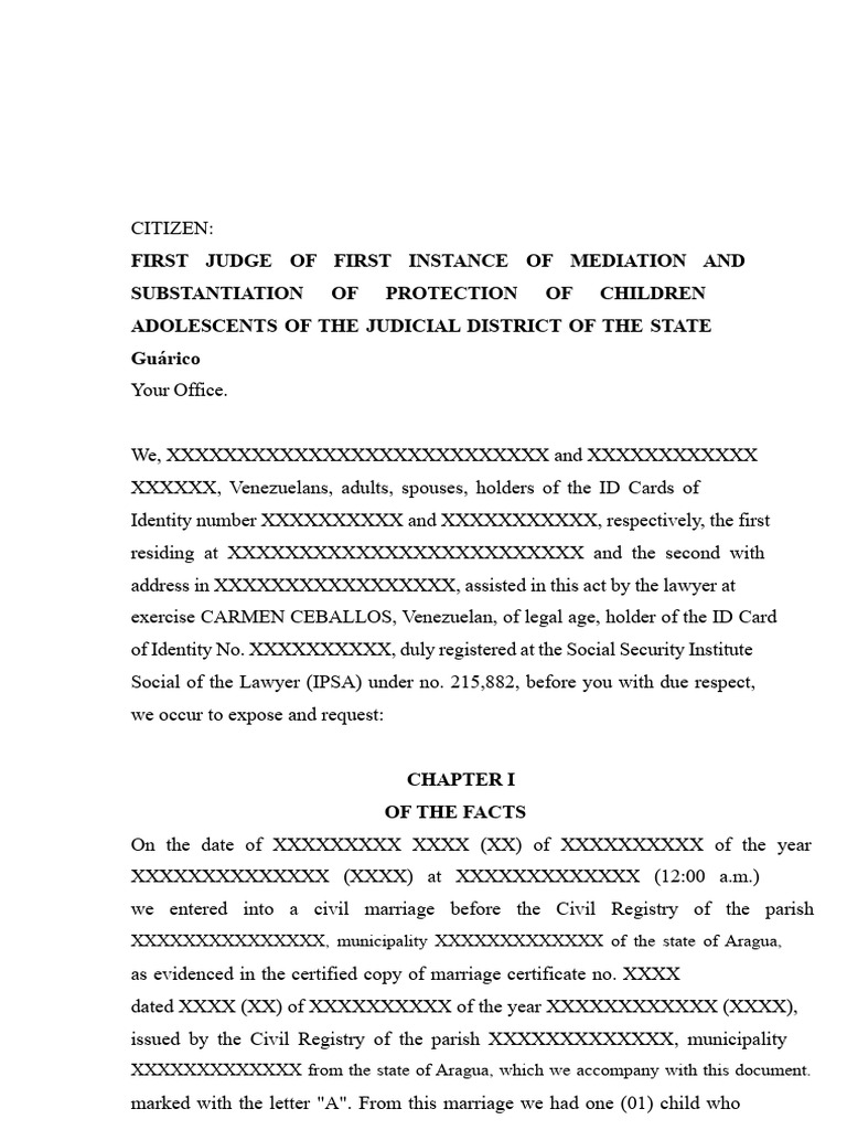 Child Custody and Support Petition | PDF | Identity Document | Child ...