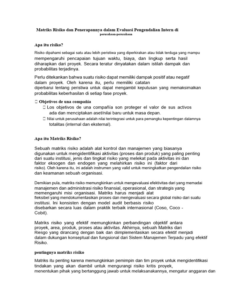 Matriks Risiko untuk Pengendalian Intern | PDF