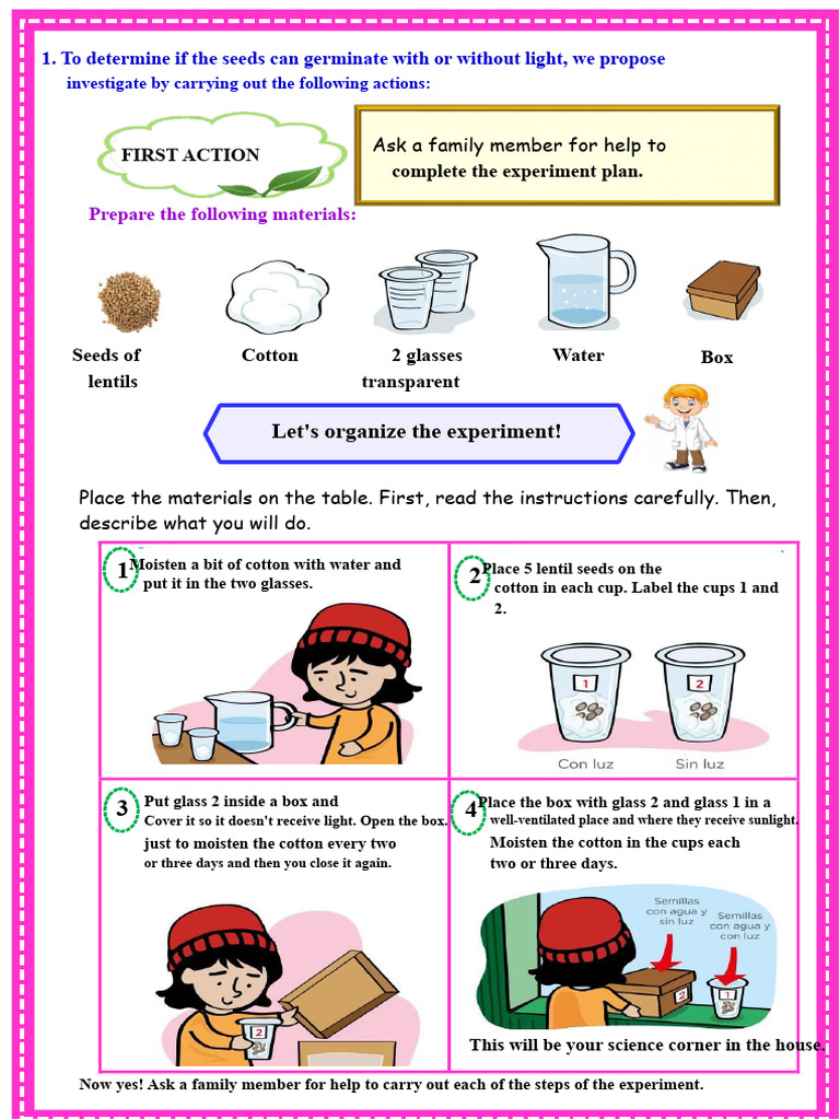 Germination Experiment Pdf Seed