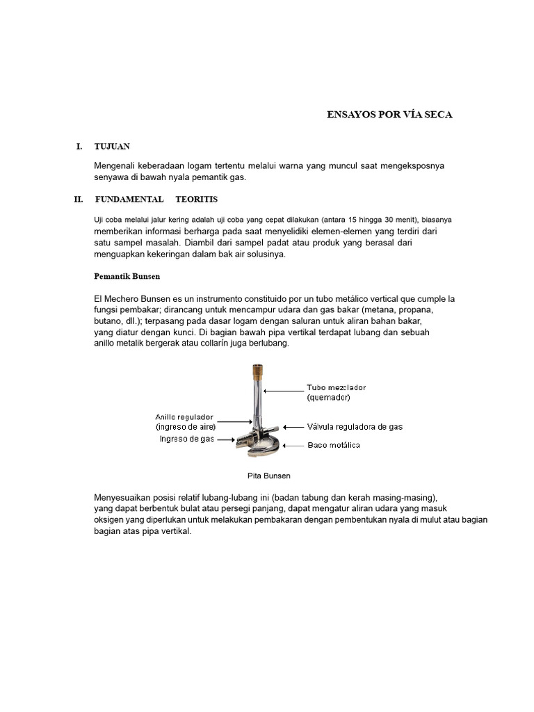 Uji Logam dengan Nyala Bunsen | PDF
