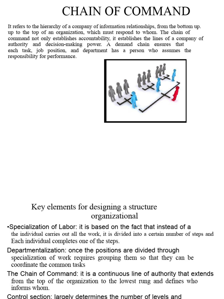 Chain of Command | PDF | Organizational Structure | Business
