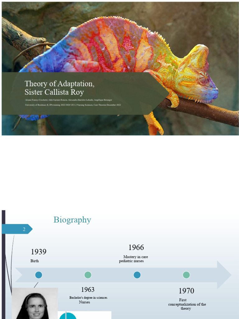 Presentation of Roy's Adaptation Theory Version 1 | PDF | Obesity ...