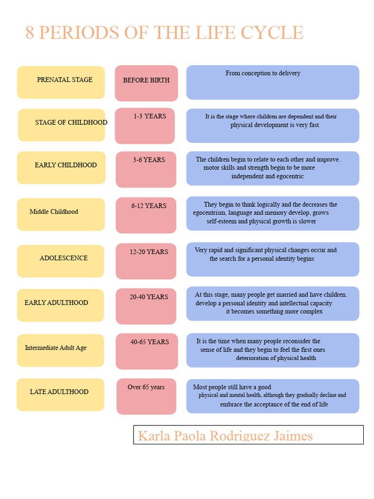 8 Stages of The Life Cycle | PDF
