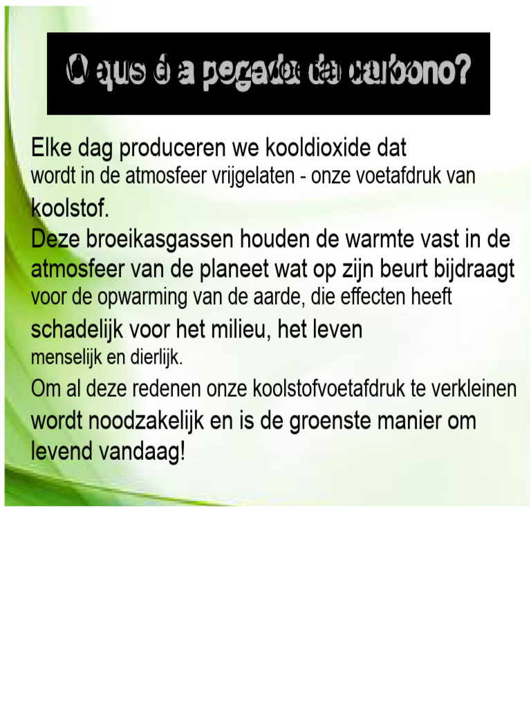 Koolstofvoetafdruk | PDF