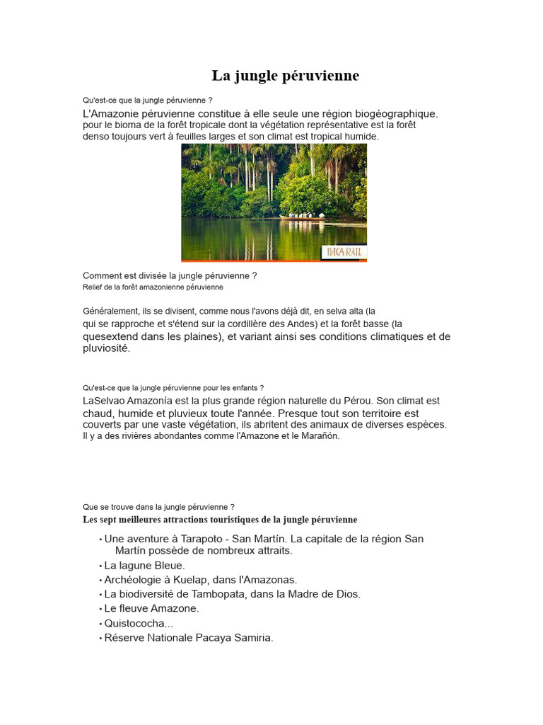 Caractéristiques de La Jungle Péruvienne Au Niveau International | PDF ...
