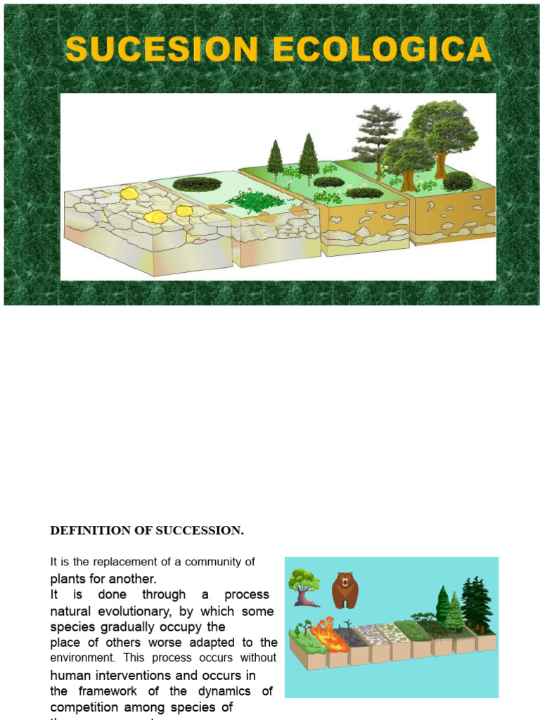 Understanding Ecological Succession | PDF | Ecology | Ecosystem