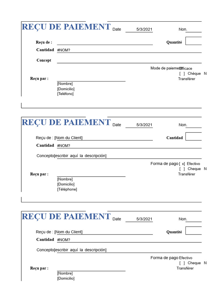 Modèle de reçu de paiement 2021 | PDF