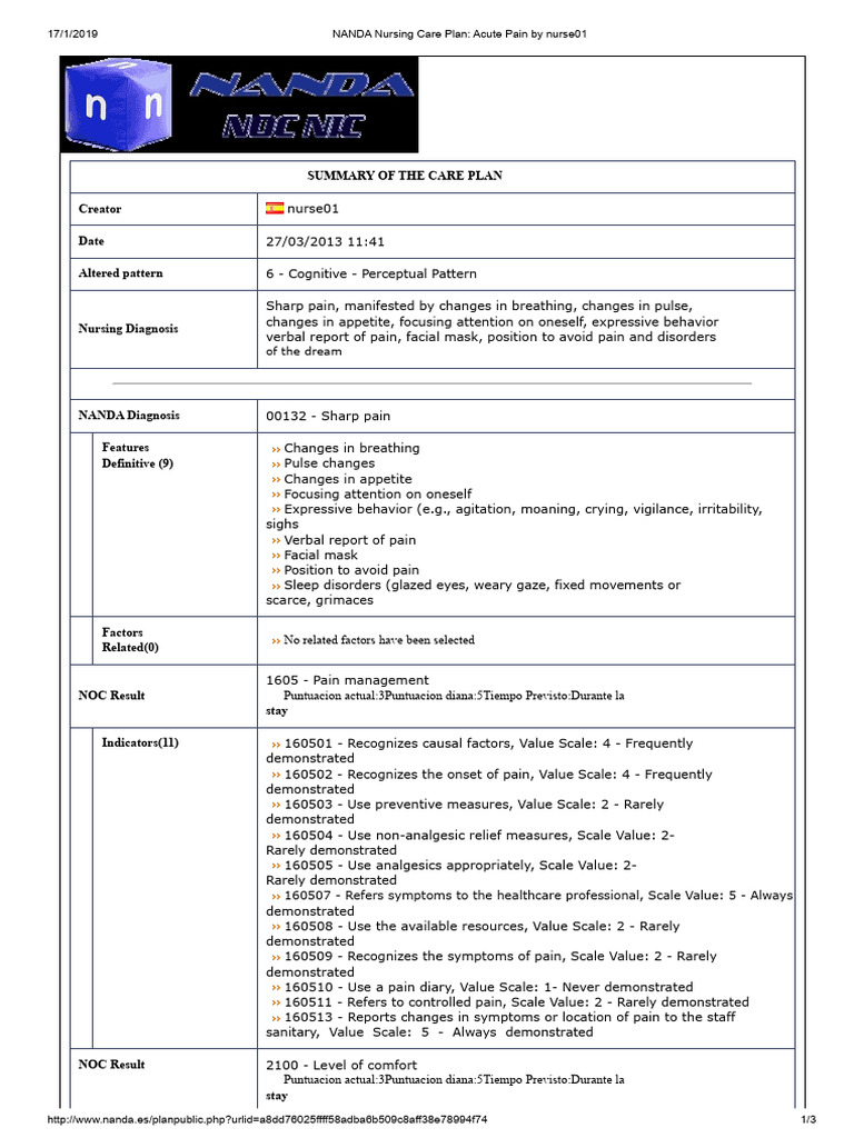 Nanda.es Care Plan_ Acute Pain By Nurse01 | PDF | Pain | Pain Management
