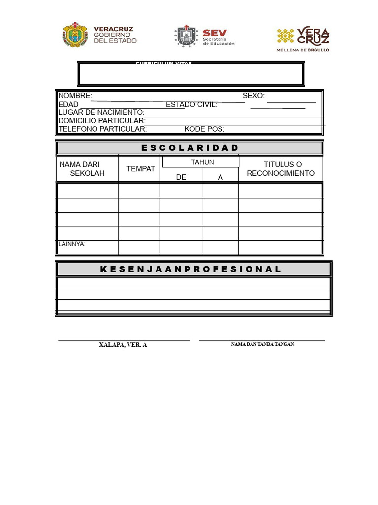 Curriculum Vitae Sev 2019 | PDF