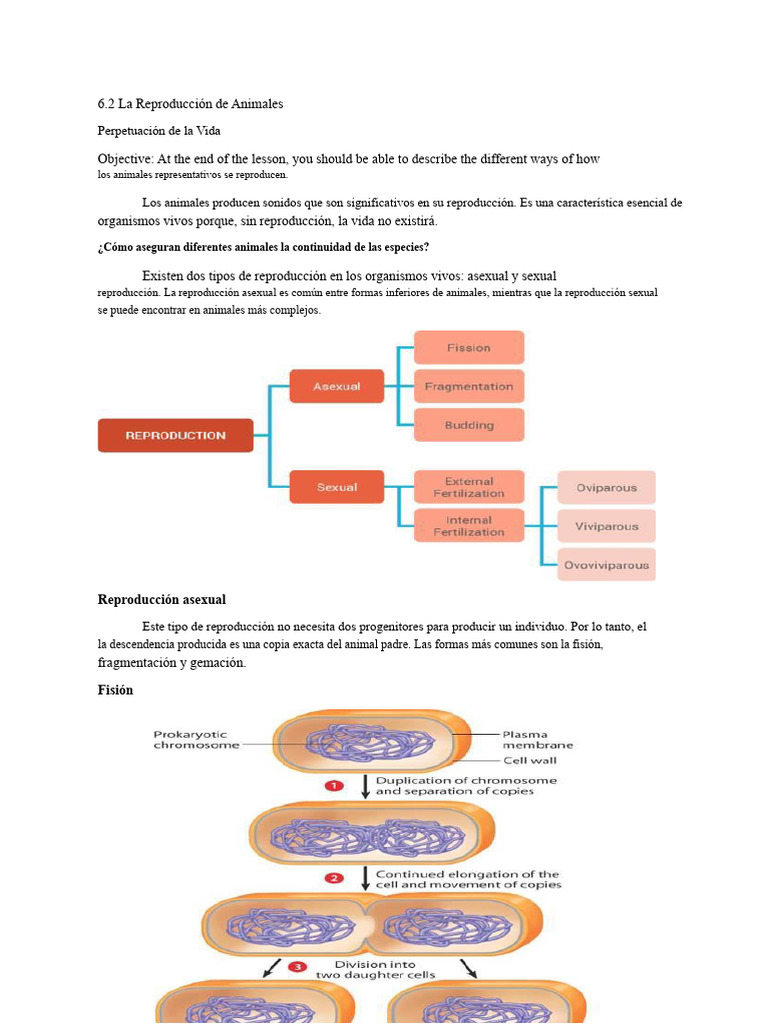 Perpetuación de La Vida - Cómo Se Reproducen Los Animales | PDF ...