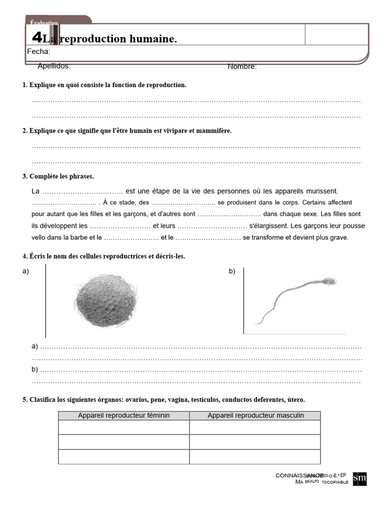 Évaluation sur la reproduction humaine | PDF | Reproduction humaine ...
