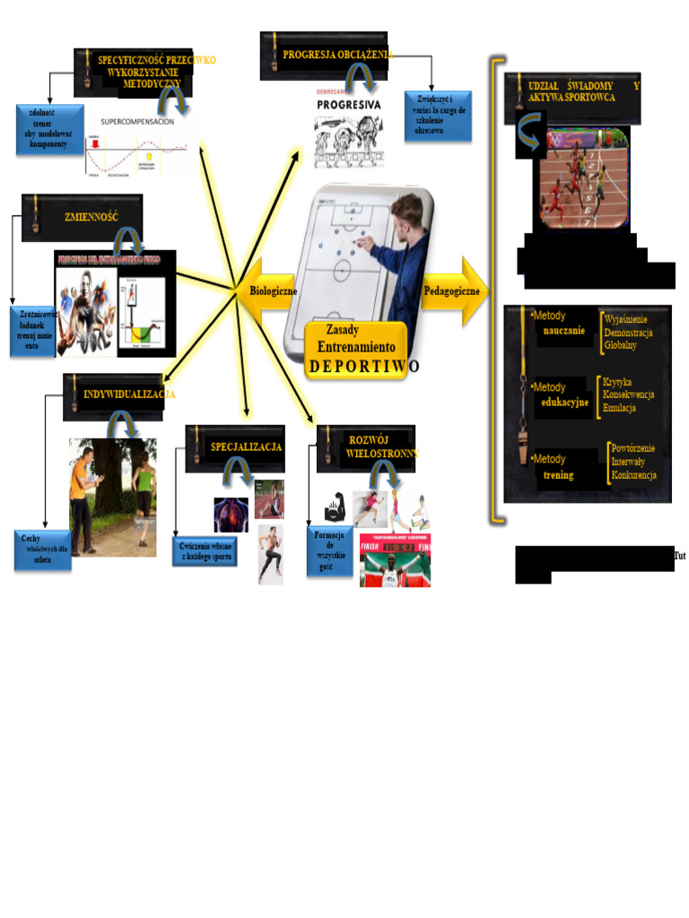 Zasady Treningu Sportowego Tudor O. Bompa PDF | PDF