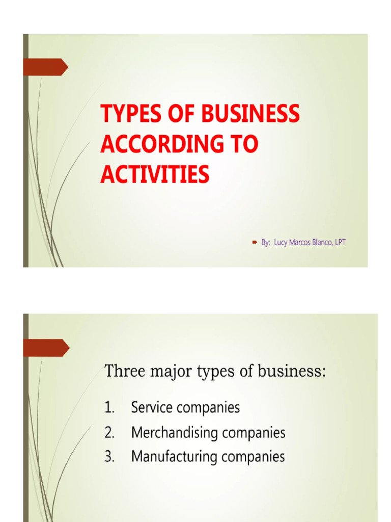 Business Types | PDF