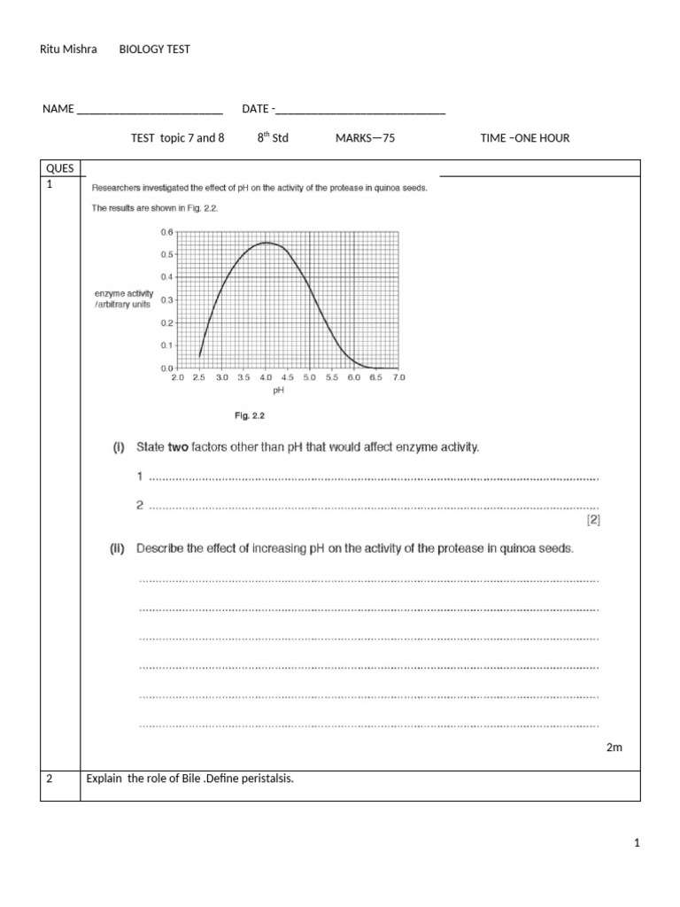 8th Enzymes and Digestion Test | PDF