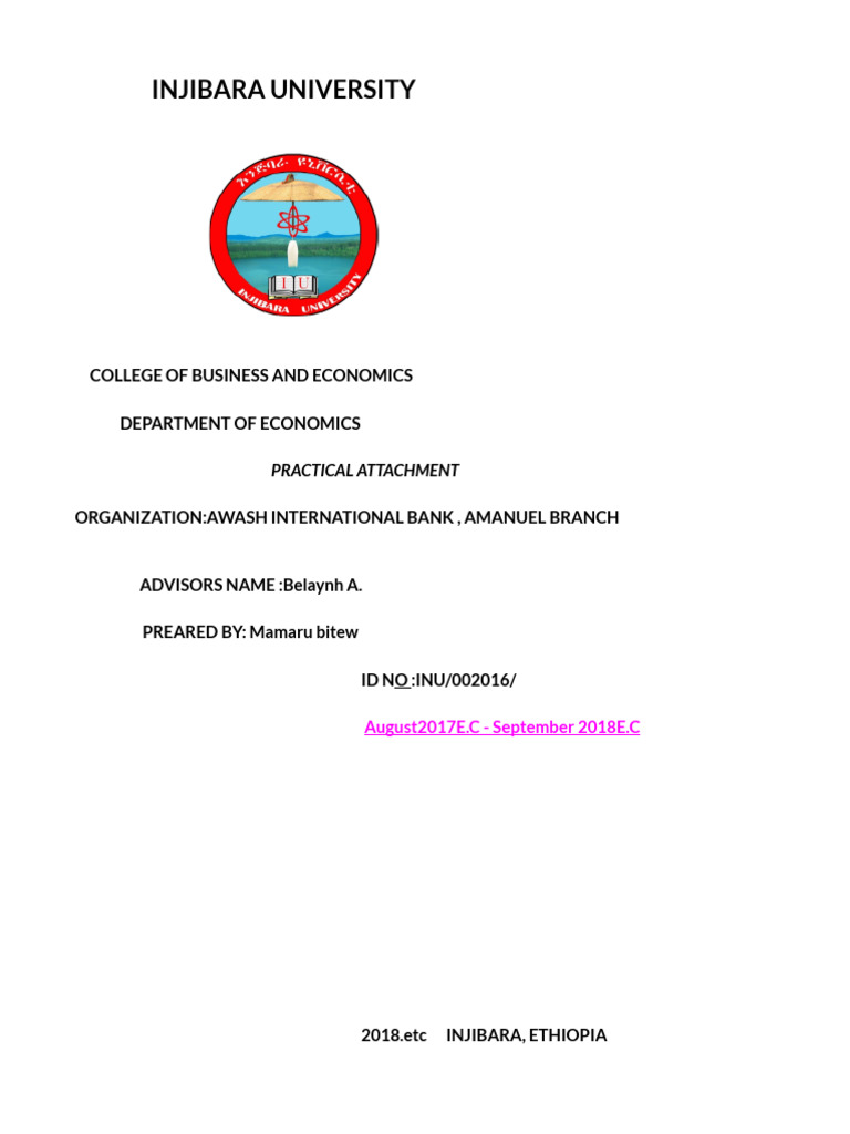 Mamaru Bitew INU | PDF | Procurement | Banks