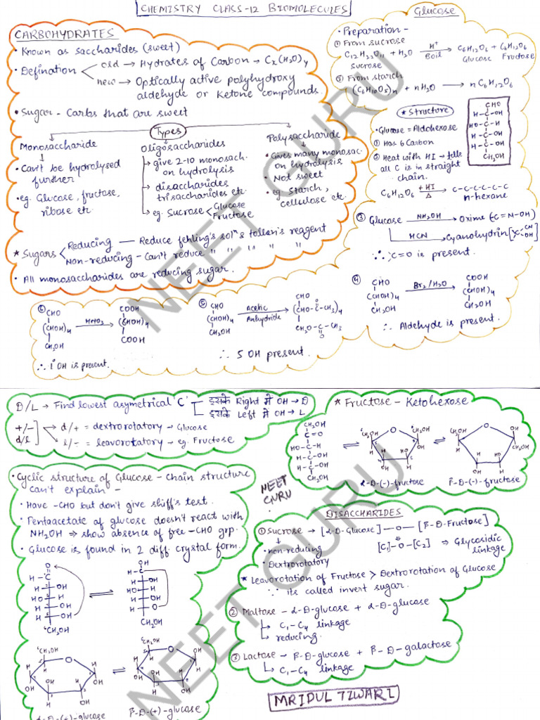 Chemistry Biomolecules Mind Map | PDF | Molecules | Organic Compounds