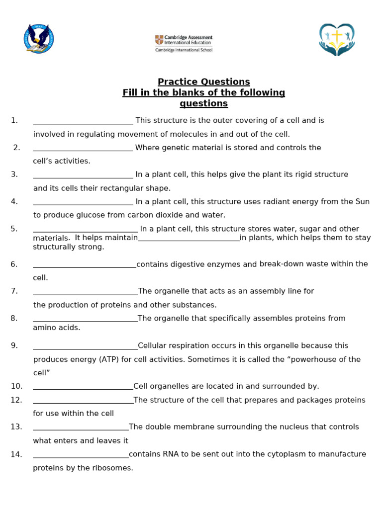 Cell Structure and Organelle Quiz | PDF | Cell (Biology) | Organelle