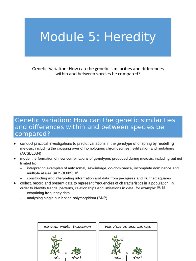 16-18. Mendelian Inheritance | PDF | Genotype | Dominance (Genetics)
