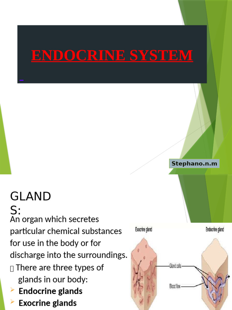 Overview of the Endocrine System | PDF | Adrenal Gland | Endocrine System
