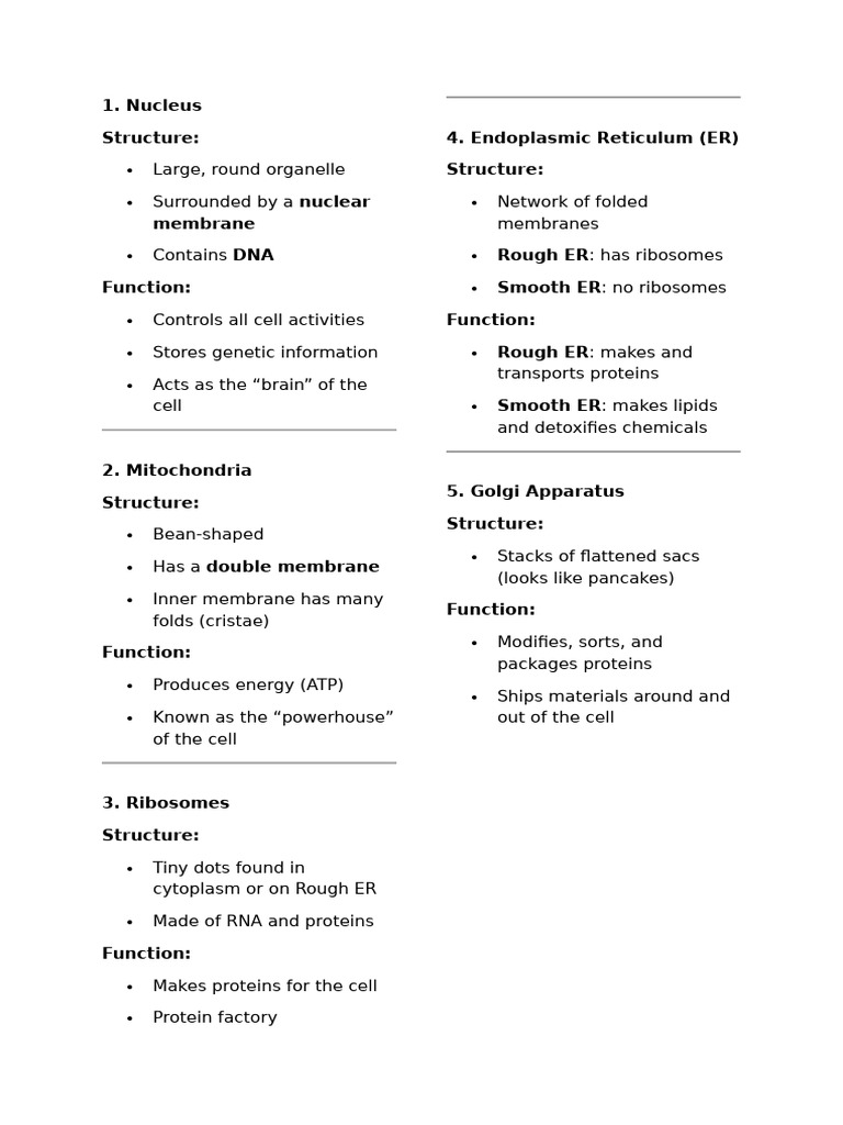 Bio Midterm | PDF | Endoplasmic Reticulum | Cell (Biology)