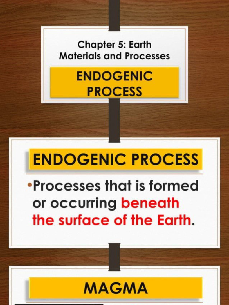 Endogenic Processes | PDF