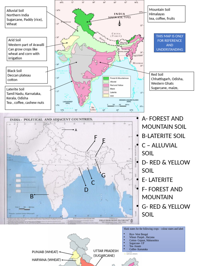 India-Soils & Agriculture Map-4 | PDF