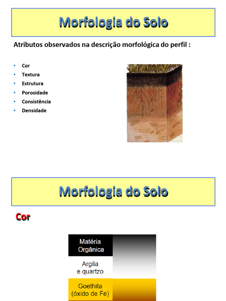 Características Físicas do Solo | PDF | Solo | Porosidade