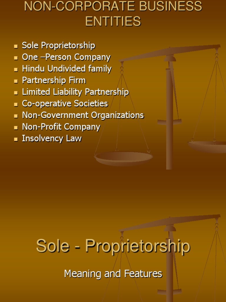 Types of Non-Corporate Entities | PDF | Partnership | Sole Proprietorship
