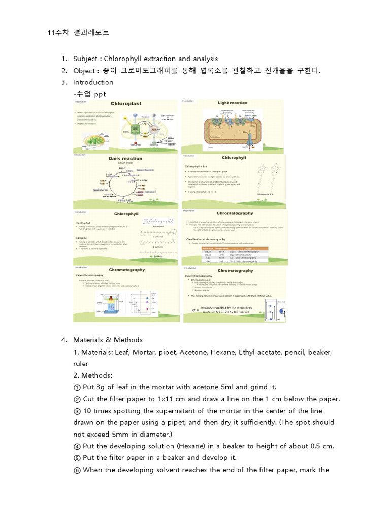 Chlorophyll Extraction and Analysis 결과 보고서 | PDF