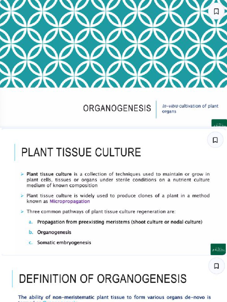 Organogenesis | PDF