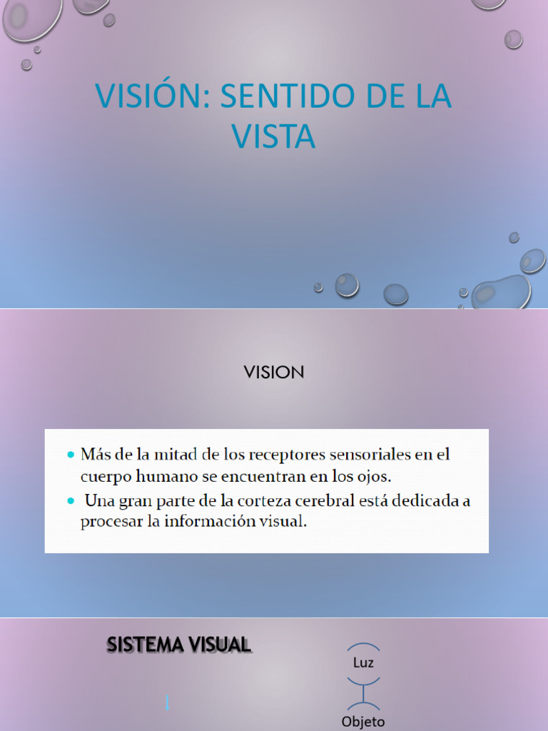 Visión: Sentido de La Vista | PDF | Ojo humano | Córnea
