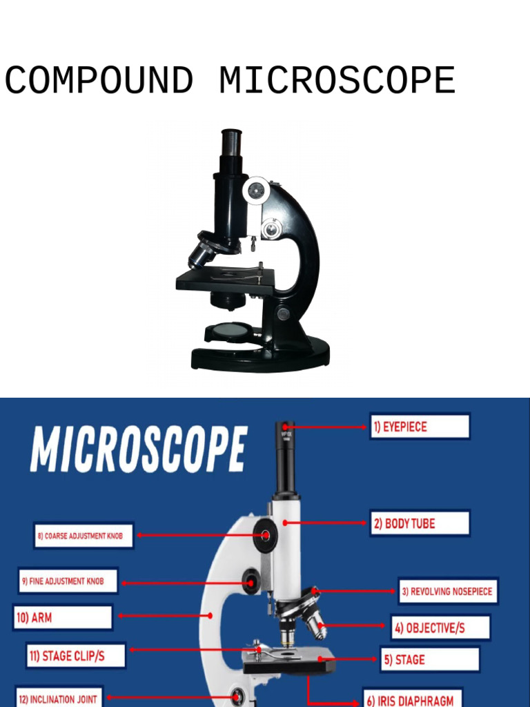 How To Use Microscope | PDF | Microscope | Glass Engineering And Science