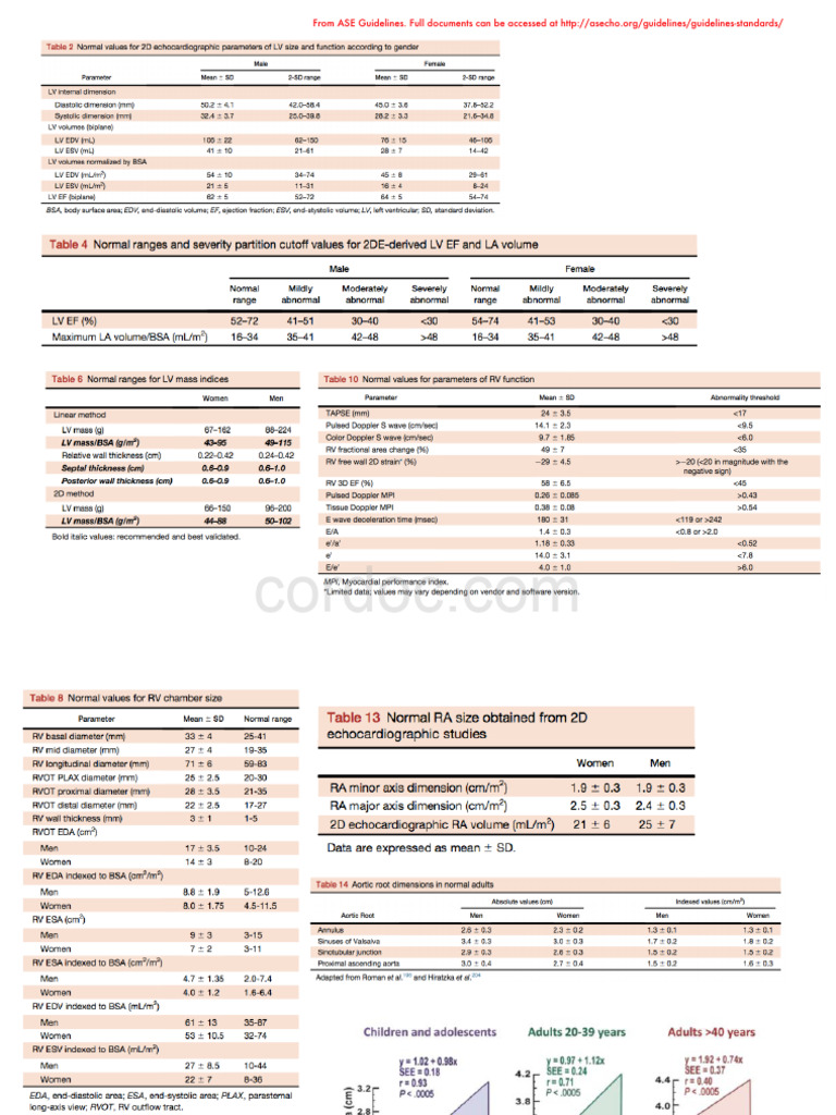 ASE Guidelines Overview | PDF