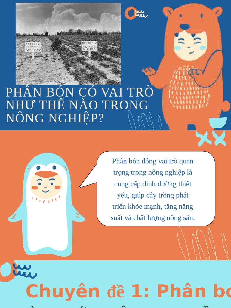 Phân Bón Có Vai Trò Như Thế Nào Trong Công Nghiệp | PDF