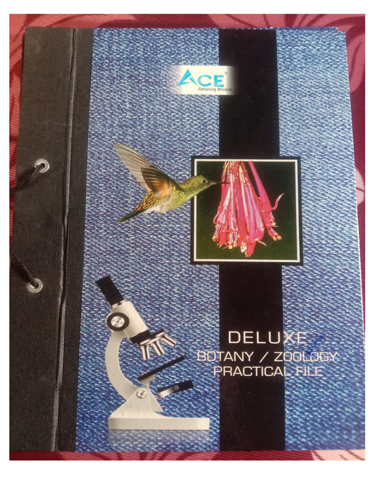 Zoology Practical Note | PDF