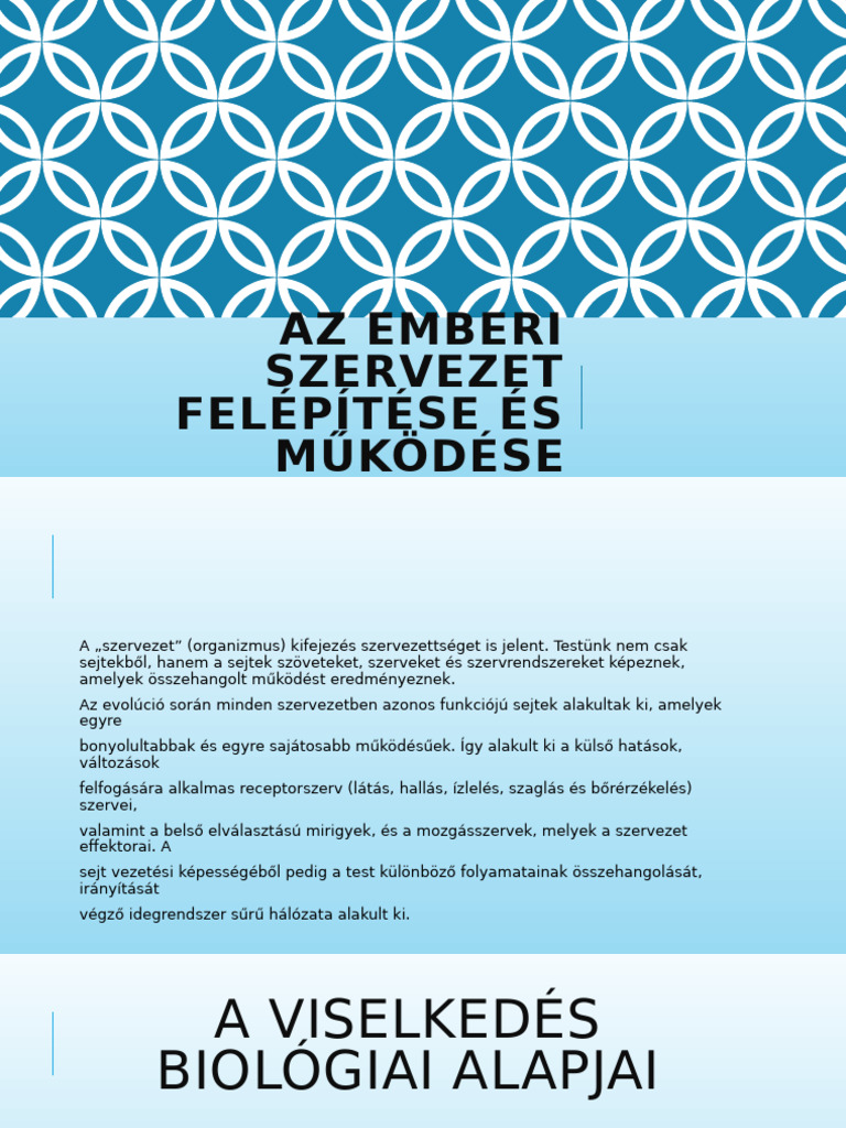 Az Emberi Szervezet Felépítése És Működése | PDF