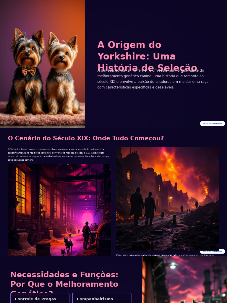 História do Yorkshire Terrier: Origem e Evolução | PDF | Yorkshire ...