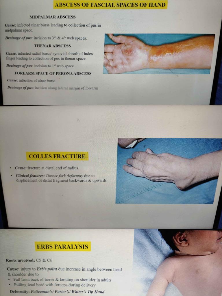 Clinical Charts | PDF