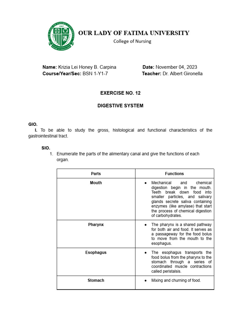 Week 14 Lab Exercise Digestive System | PDF | Esophagus | Digestion