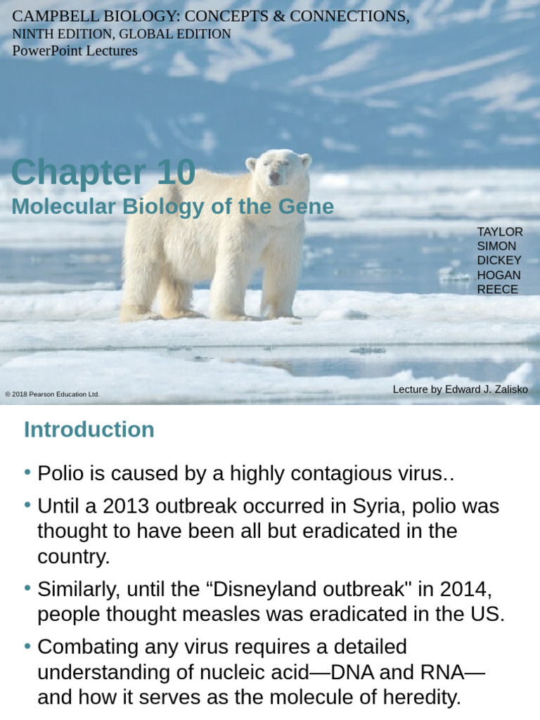 10 Lecture Presentation DCB | PDF | Translation (Biology) | Dna