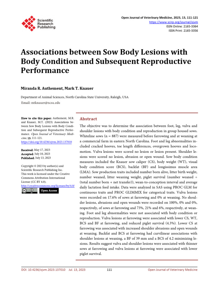 Sow Lesions Impact on Reproductive Health | PDF | Pig
