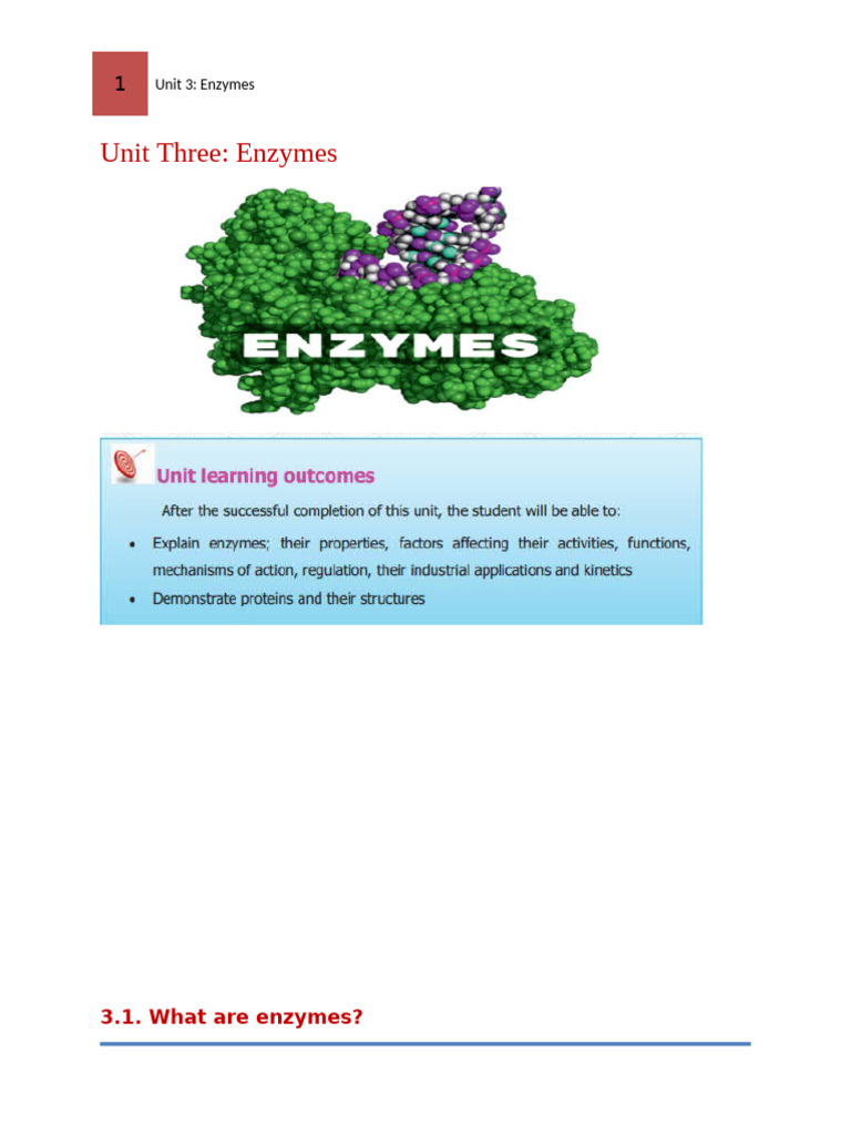 Grade 10 Bio Unit 3 Enzymes | PDF | Enzyme | Proteins