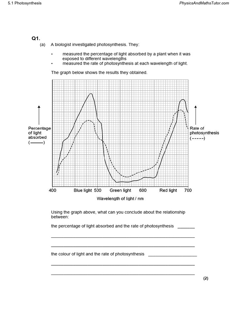 Photosynthesis Investigation and Analysis | PDF | Photosynthesis | Plants