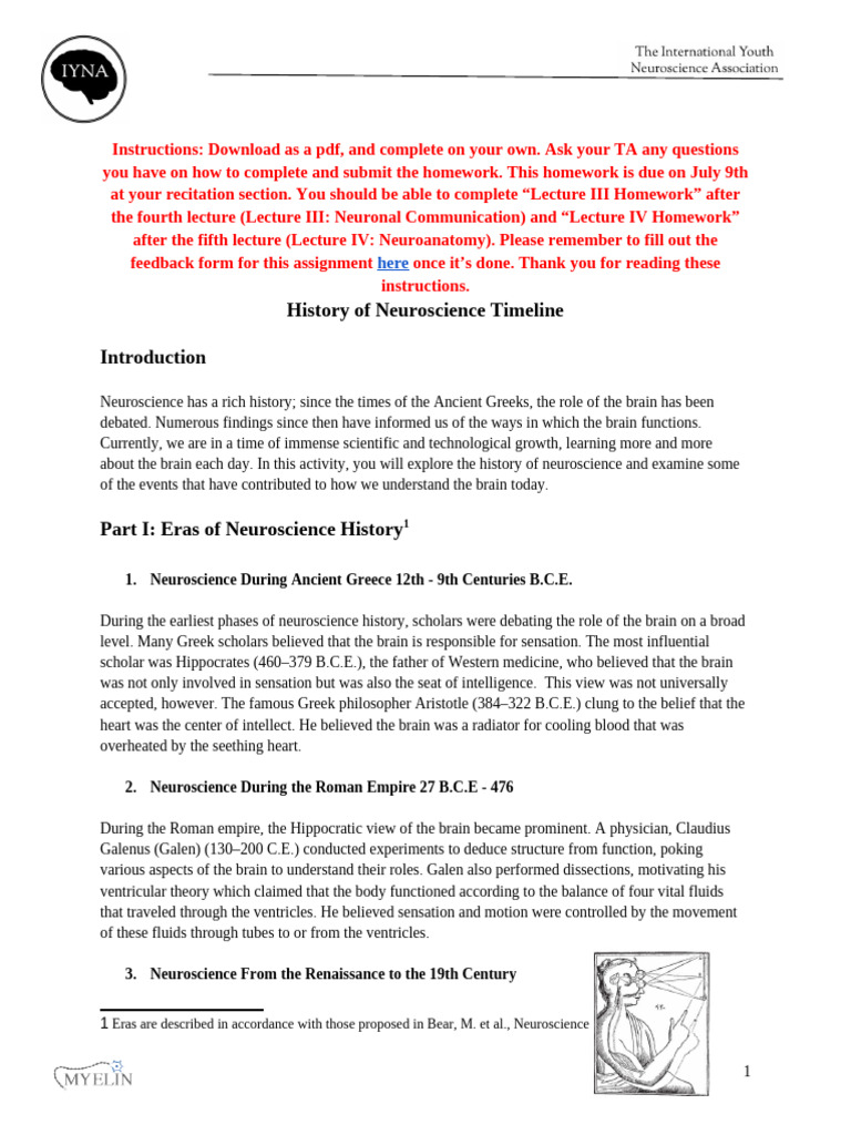 HW2 - History of Neuroscience Worksheet | PDF | Neuroscience | Brain