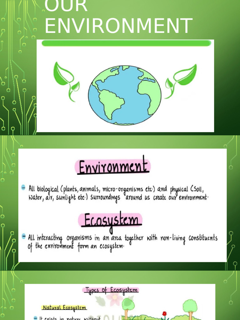 Our Environment | PDF