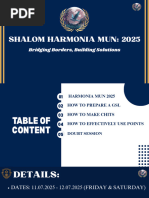 MUN Chit Formats and Guidelines | PDF