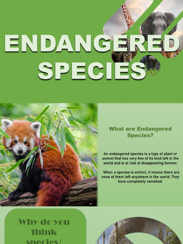 CONSERVATION OF ENDANGERED SPECIES PPT Final | PDF