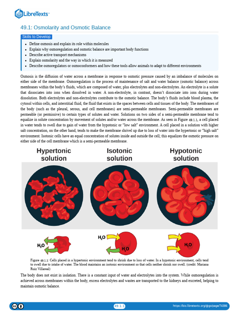 49.01 Osmolarity and Osmotic Balance | PDF | Osmosis | Electrolyte